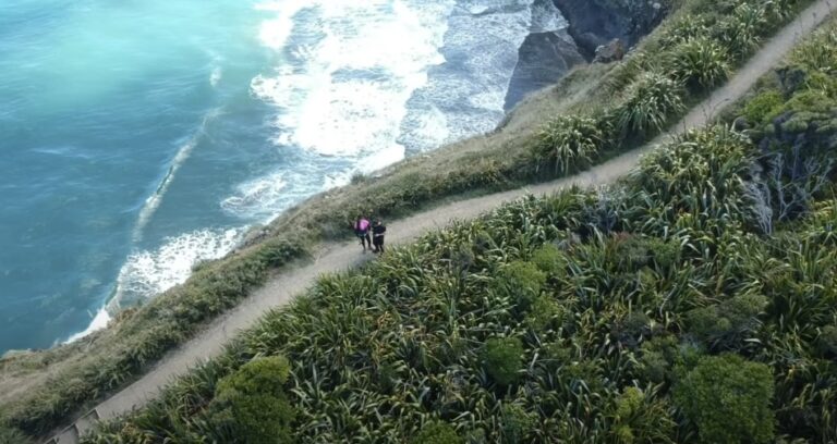 Mercer Bay Loop Walk Review: A Hiker's Paradise